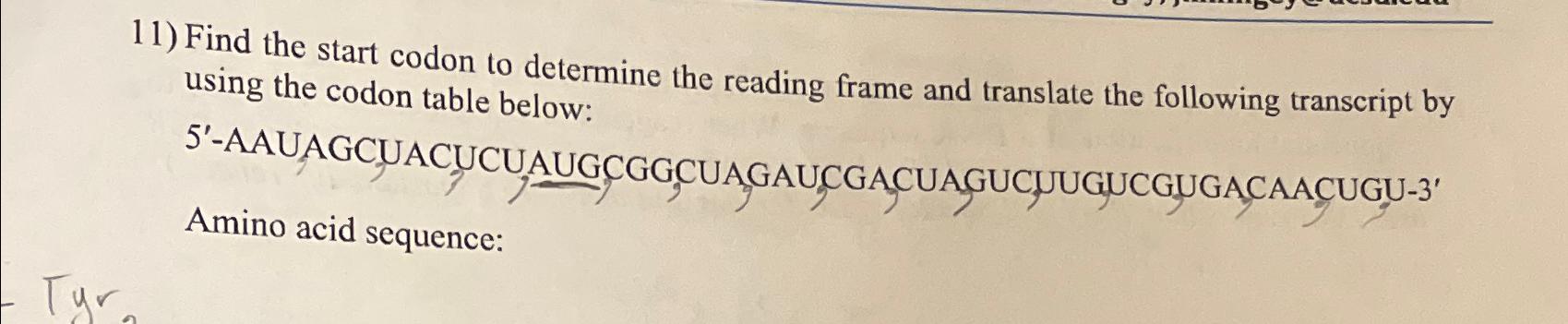 Solved Find the start codon to determine the reading frame | Chegg.com