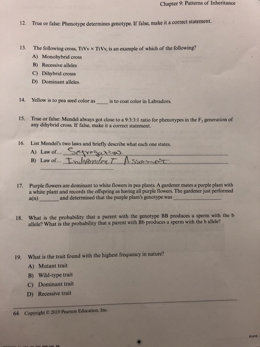 Solved Chapter 9: Patterns of Inheritance 12. True or false: | Chegg.com