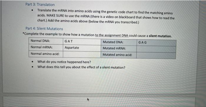 Solved Use the following DNA Sequence to answer the | Chegg.com