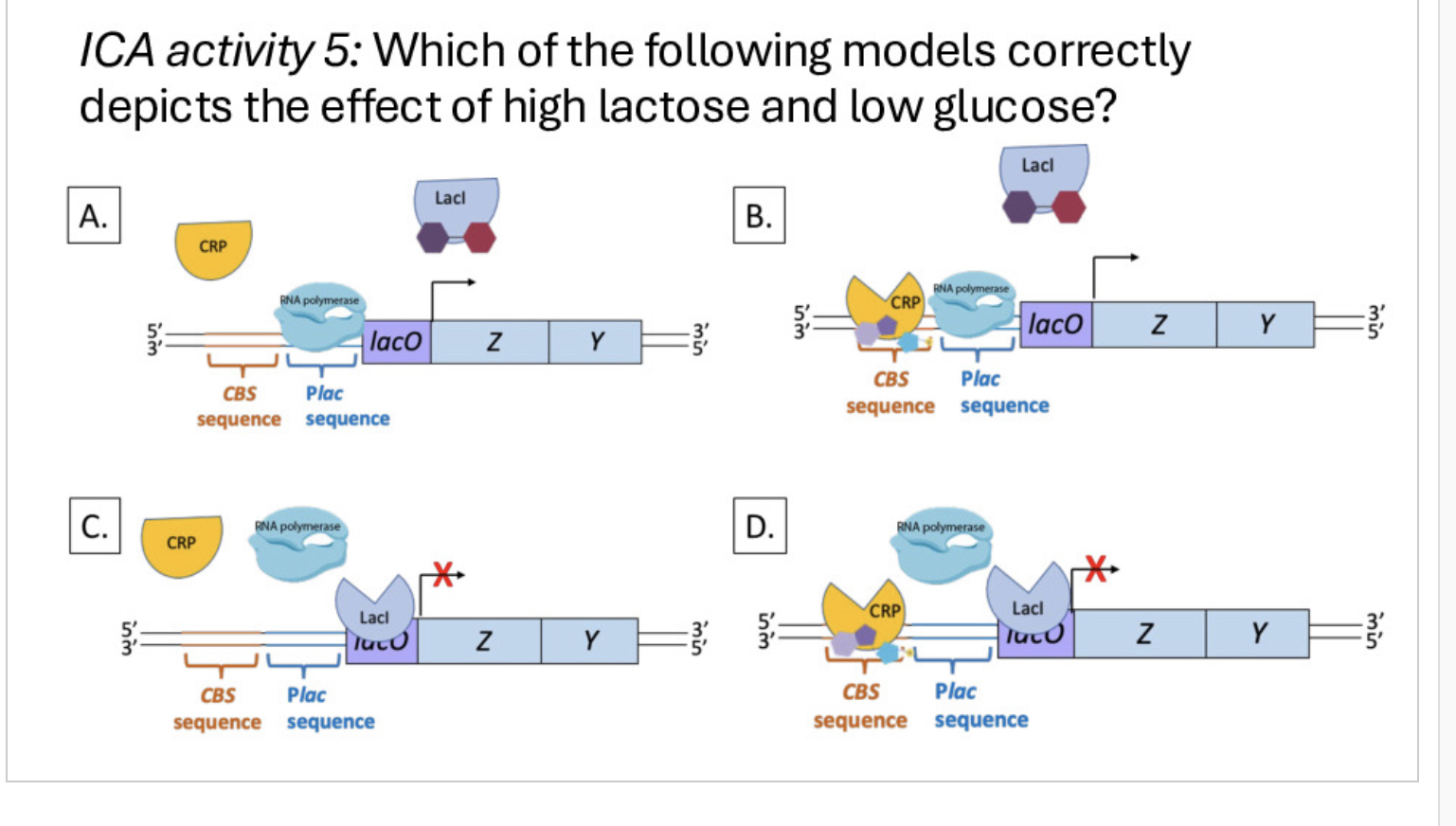 Solved ICA activity 5: Which of the following models | Chegg.com