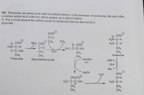 Solved Q6 Threonine, an amino acid with two chiral centers, | Chegg.com