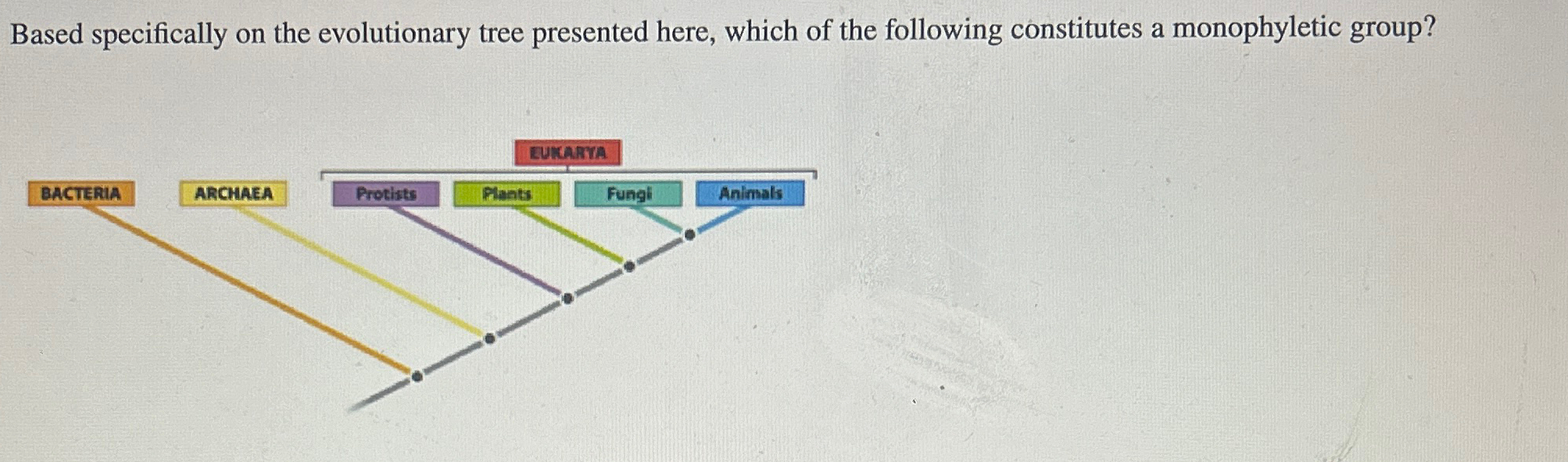 Solved Based specifically on the evolutionary tree presented | Chegg.com