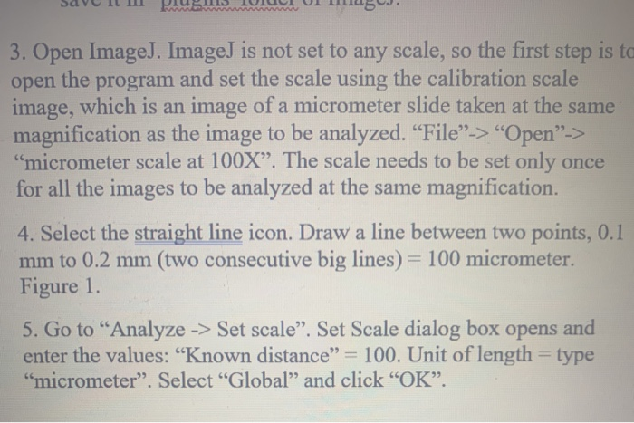 3. Open ImageJ. ImageJ is not set to any scale, so | Chegg.com
