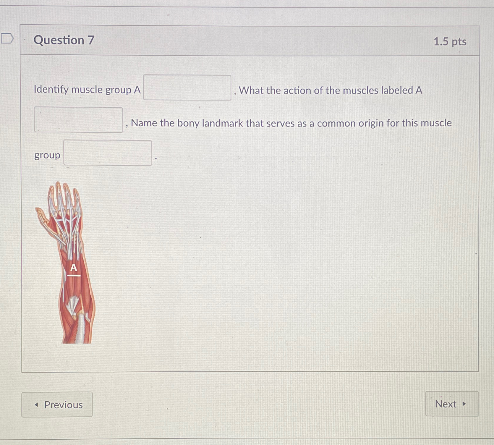 Solved Question 71.5ptsIdentify muscle group A ﻿What the | Chegg.com