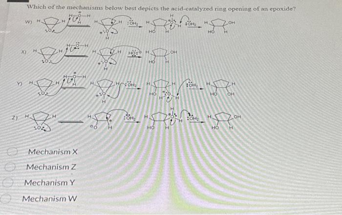 Solved Which of the mechanisms below best depicts the | Chegg.com