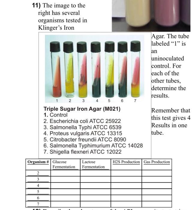 Solved i know it says the image to the right but its the | Chegg.com