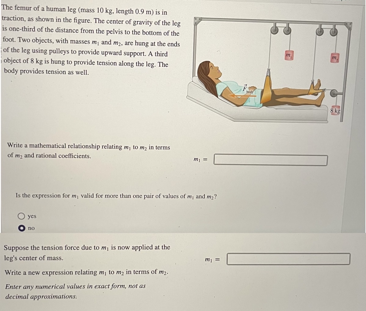 Solved The femur of a human leg (mass 10kg, ﻿length 0.9m ) | Chegg.com