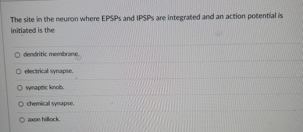 Solved The site in the neuron where EPSPs and IPSPs are | Chegg.com