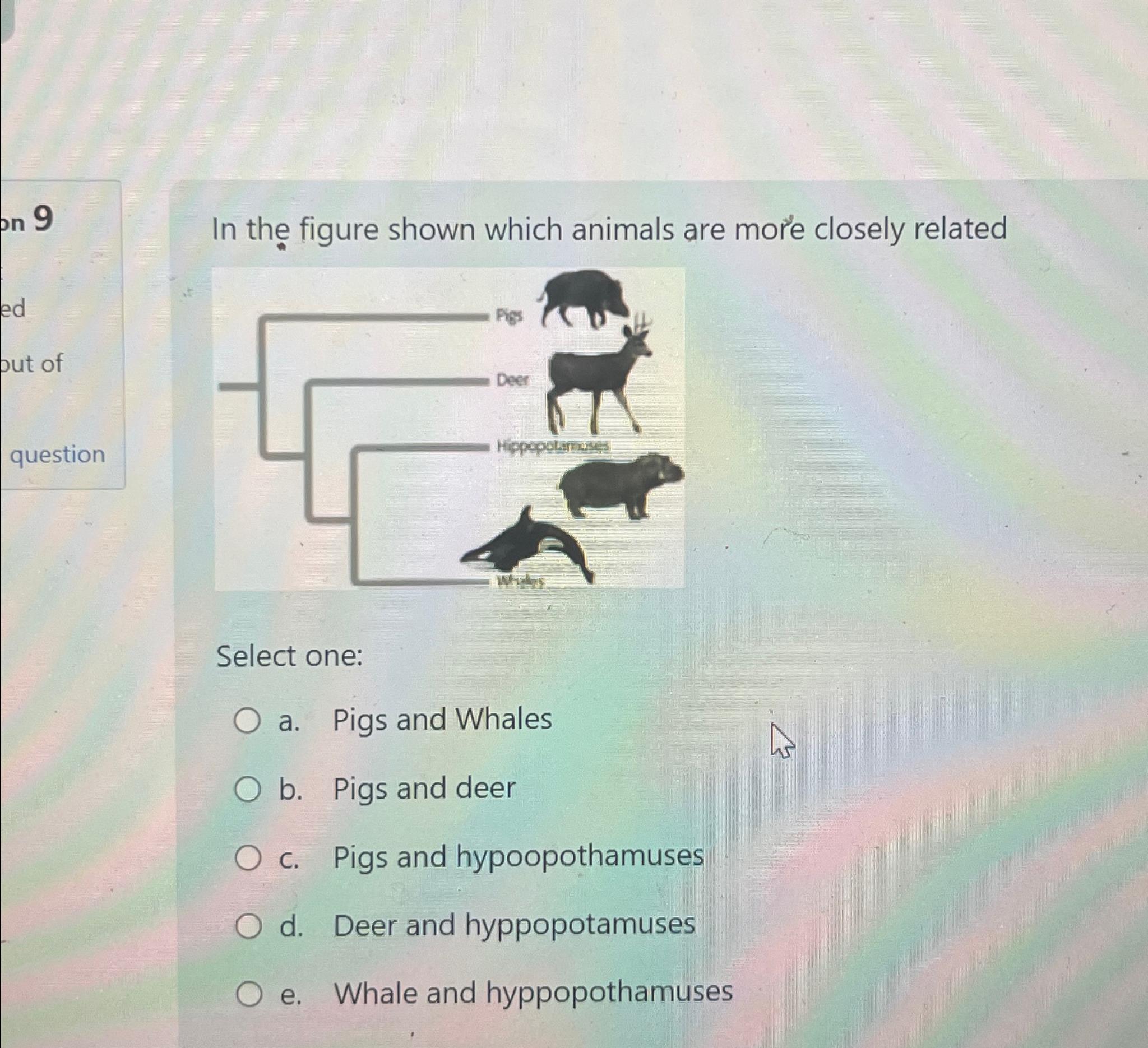 Solved In the figure shown which animals are more closely | Chegg.com