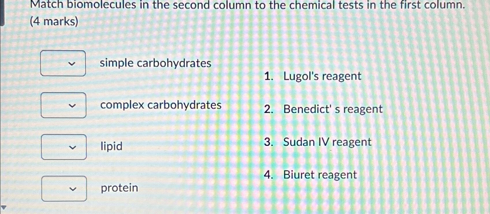 Solved Match biomolecules in the second column to the | Chegg.com