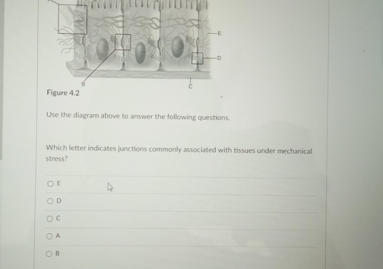 Solved More B Figure 4.2 thing Use the diagram above to | Chegg.com