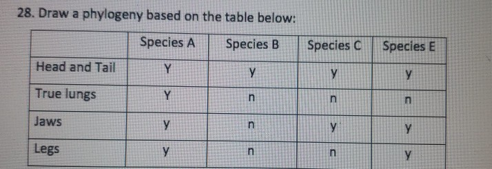 Solved 28. Draw a phylogeny based on the table below: | Chegg.com