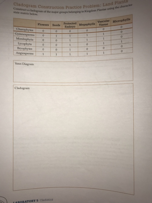 Solved Cladogram Construction Practice Problem: Land Plants | Chegg.com