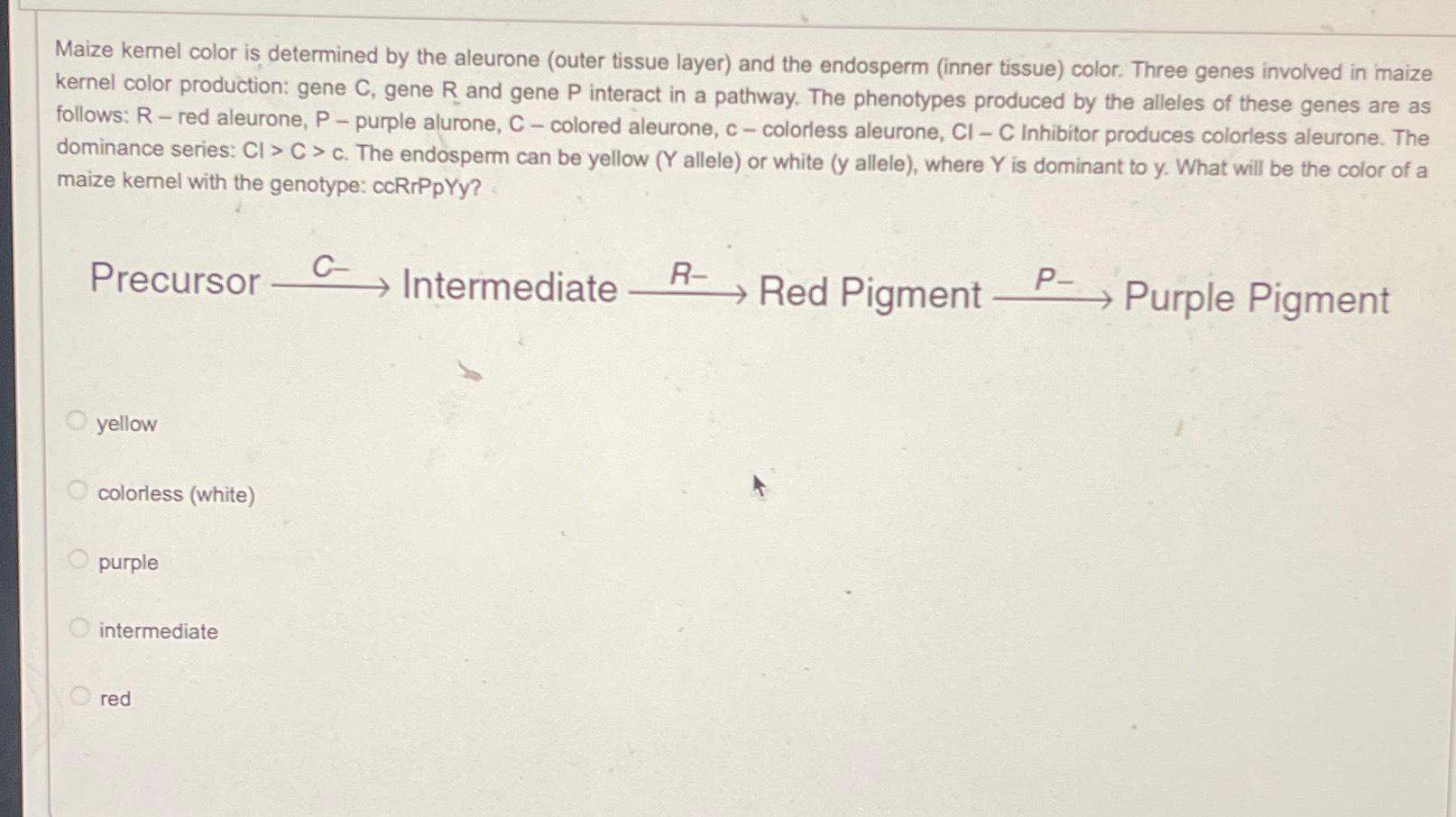 Solved Maize kernel color is determined by the aleurone | Chegg.com