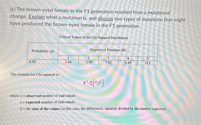 Solved Directions: Answers must be in essay form. Outline | Chegg.com