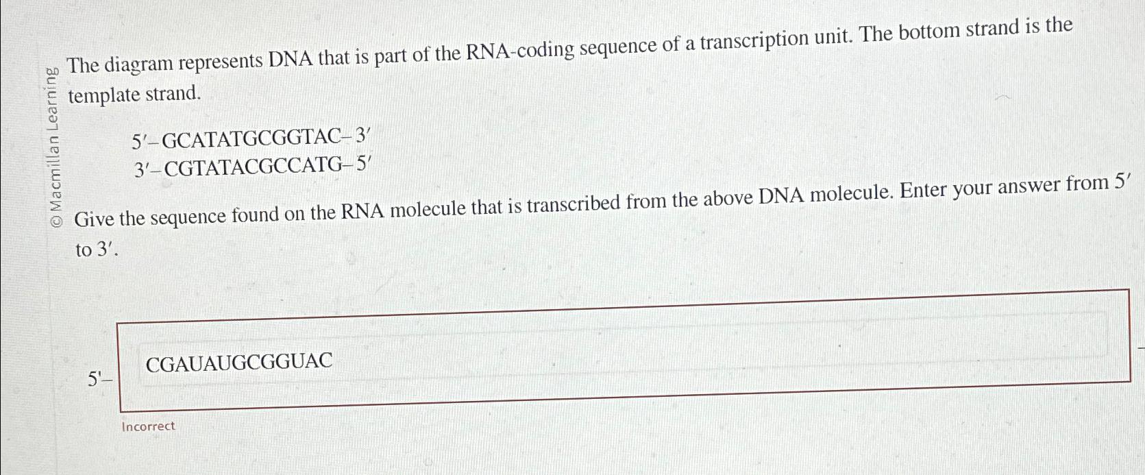 Solved The diagram represents DNA that is part of the | Chegg.com
