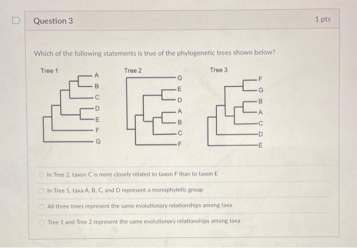Solved Which of the following statements is true of the | Chegg.com