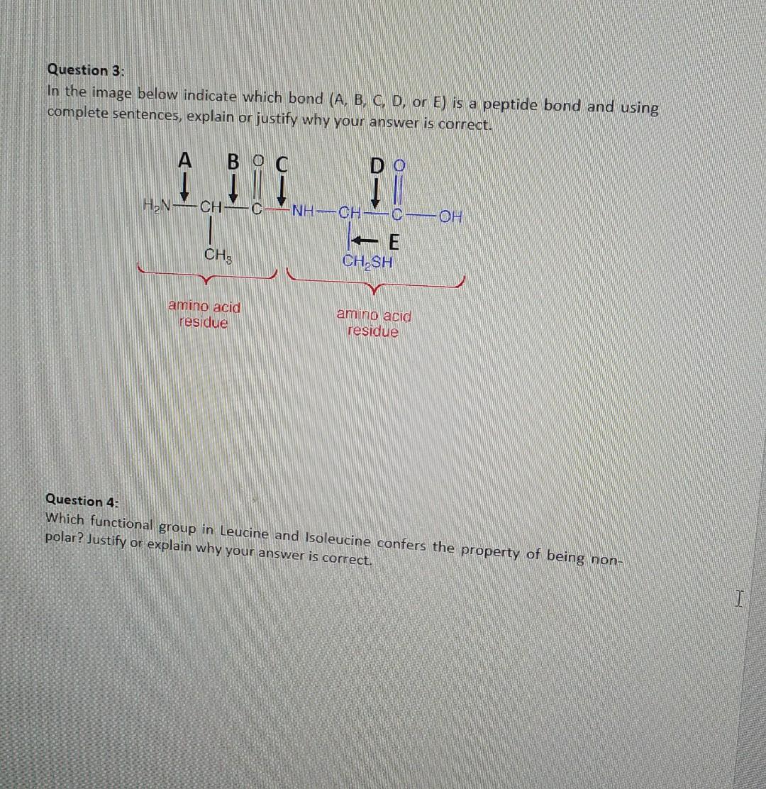 Solved Answer in your own words for all questions and answer | Chegg.com