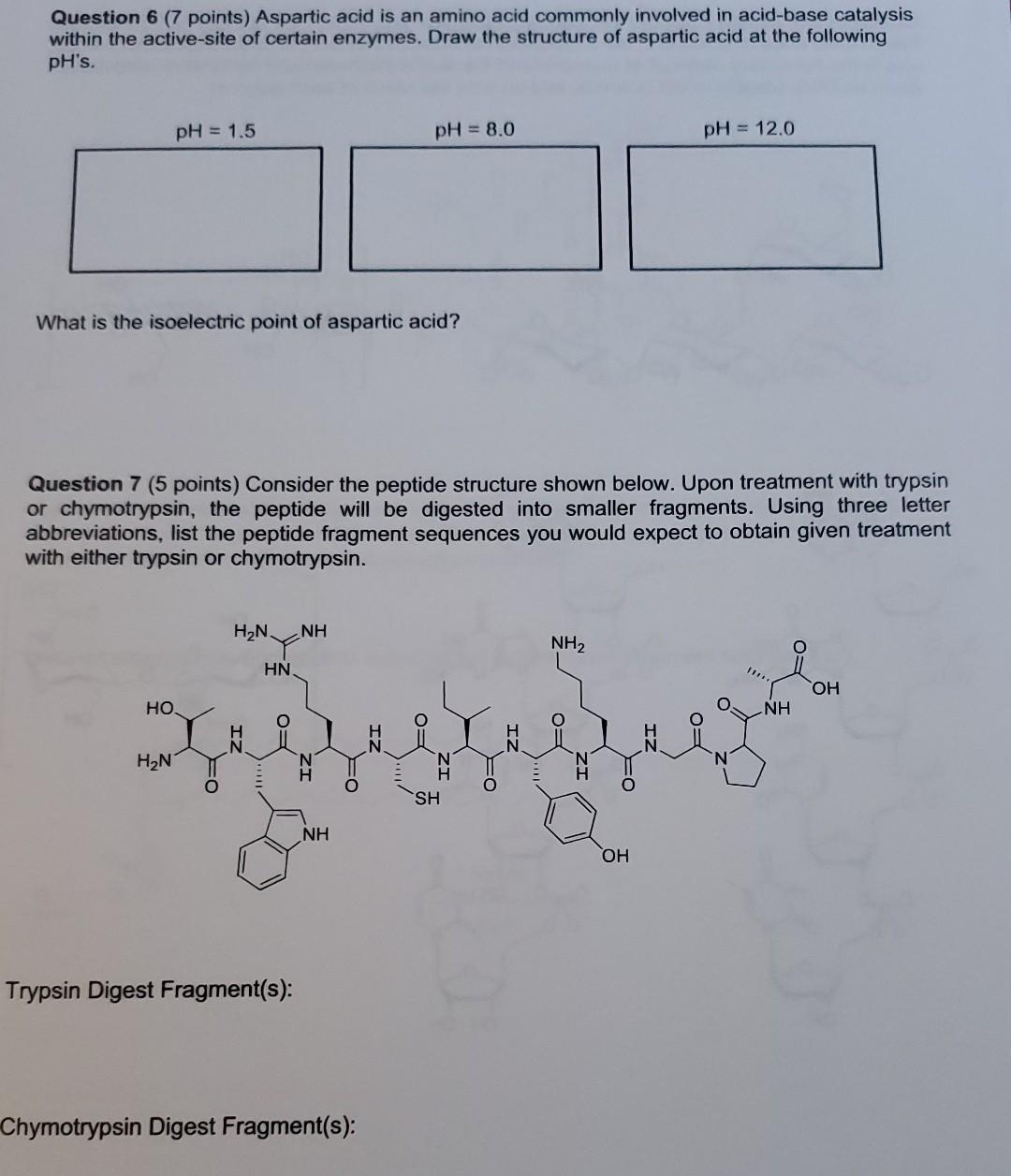 Solved Question 6 (7 points) Aspartic acid is an amino acid | Chegg.com