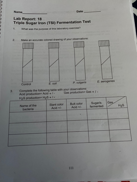 GUGG 302 EXERCISE 18 Triple Sugar Iron (TSI) | Chegg.com