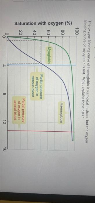 Solved The oxygen binding curve of hemoglobin is sigmoidal | Chegg.com