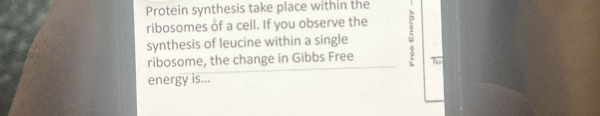 Solved Protein synthesis take place within theribosomes off | Chegg.com