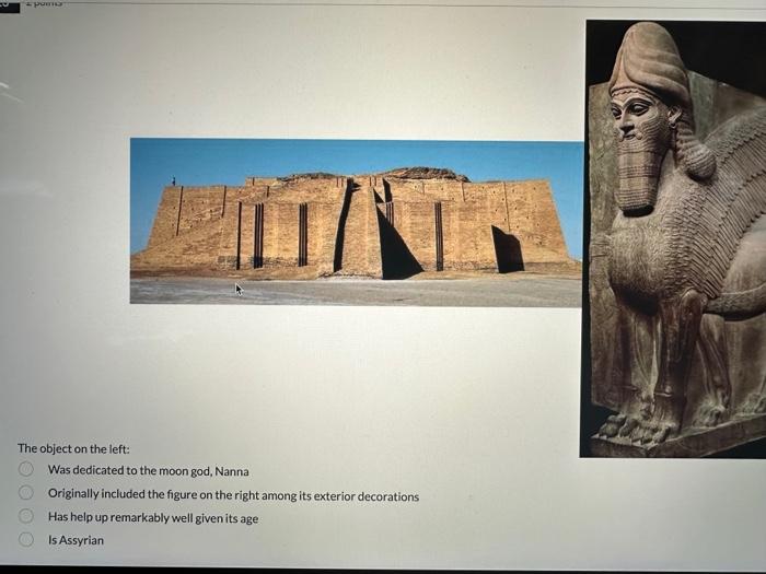 Solved Which of these is a stele and which of these is a | Chegg.com