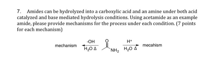 Solved 7. Amides can be hydrolyzed into a carboxylic acid | Chegg.com