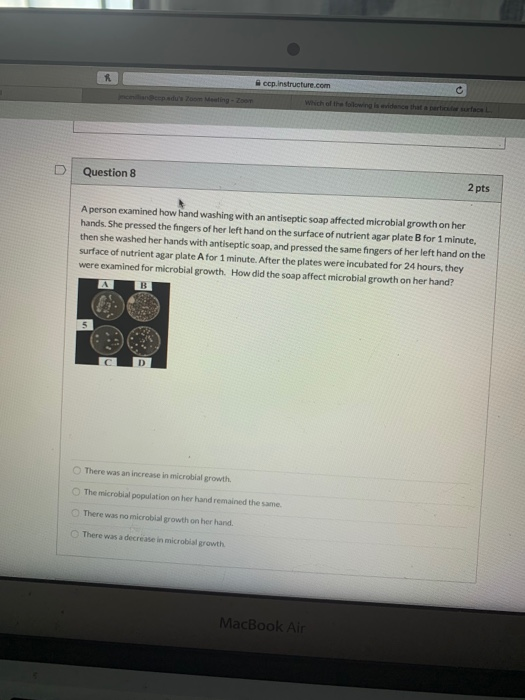Solved Window Help R ccp.instructure.com jmcmillanccp.edu's | Chegg.com