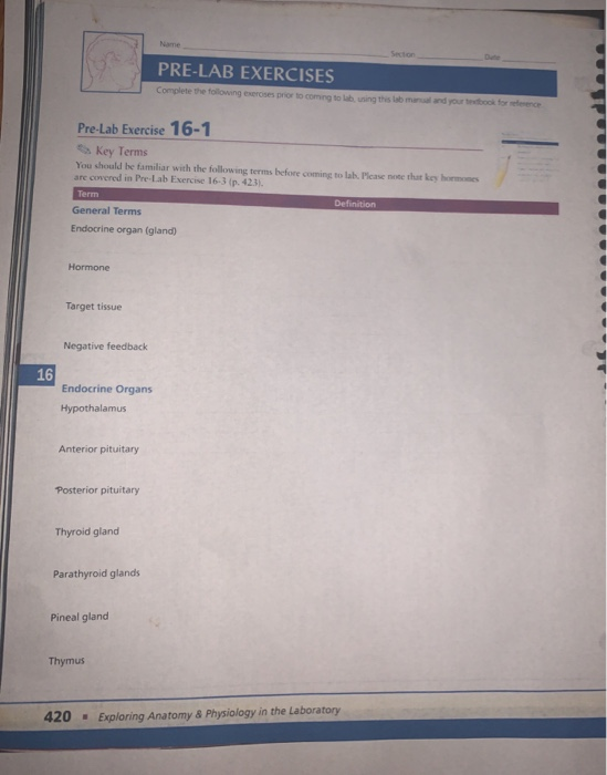 Solved PRE-LAB EXERCISES Complete the following exeroses | Chegg.com