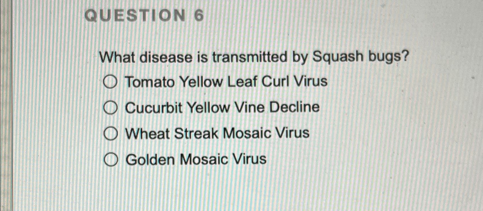 Solved QUESTION 6What disease is transmitted by Squash | Chegg.com