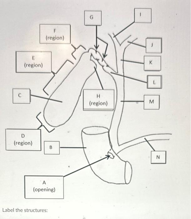 Solved Label the structures: | Chegg.com
