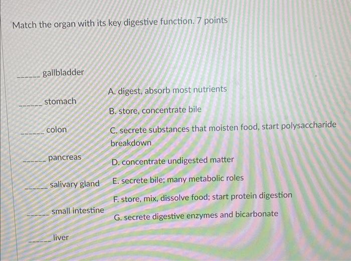 Solved Match the organ with its key digestive function. 7 | Chegg.com
