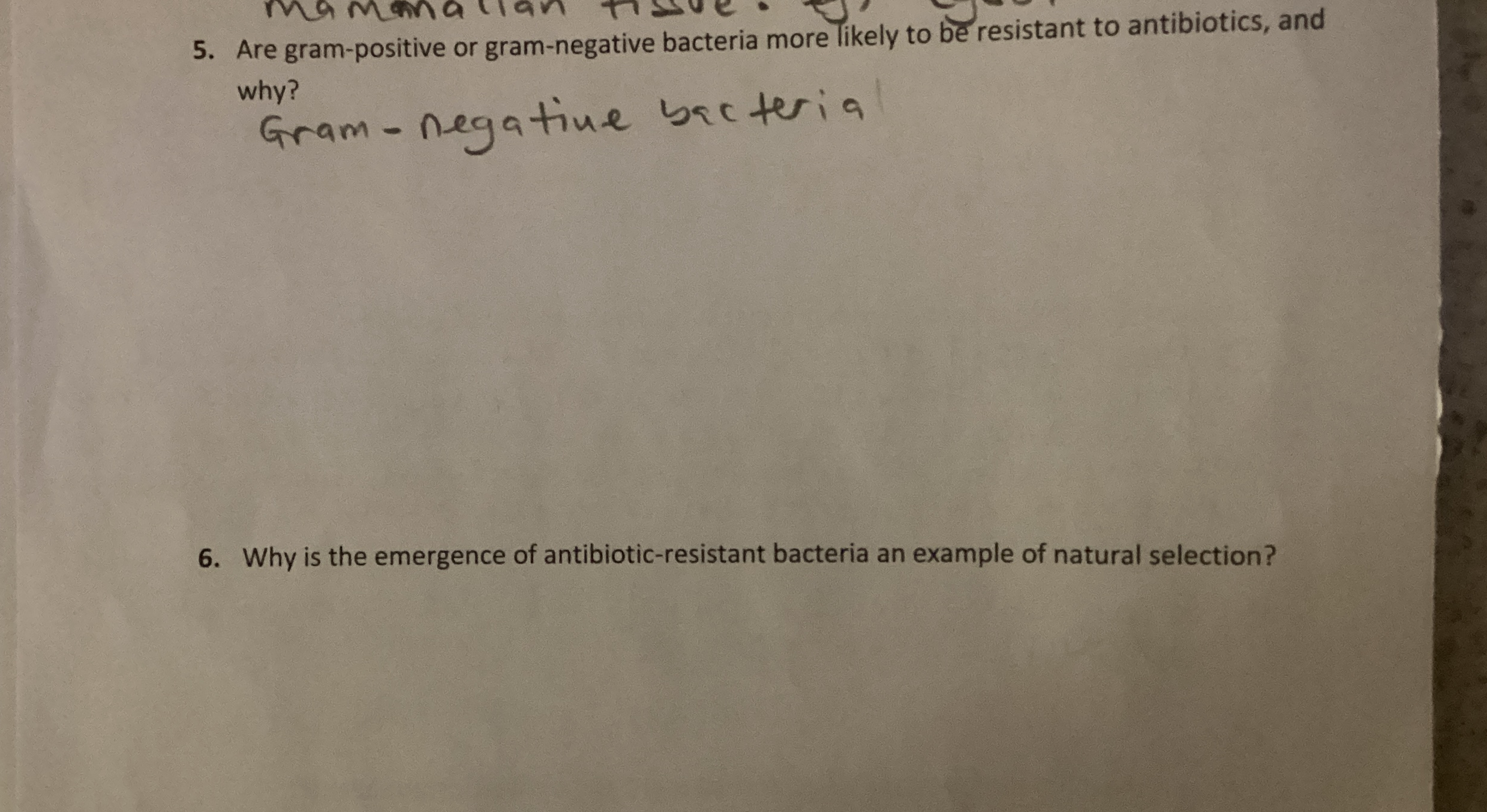 Solved Are gram-positive or gram-negative bacteria more | Chegg.com