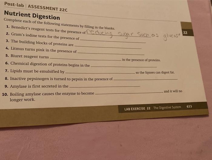 Solved Post-lab ASSESSMENT 22C Nutrient Digestion Complete | Chegg.com