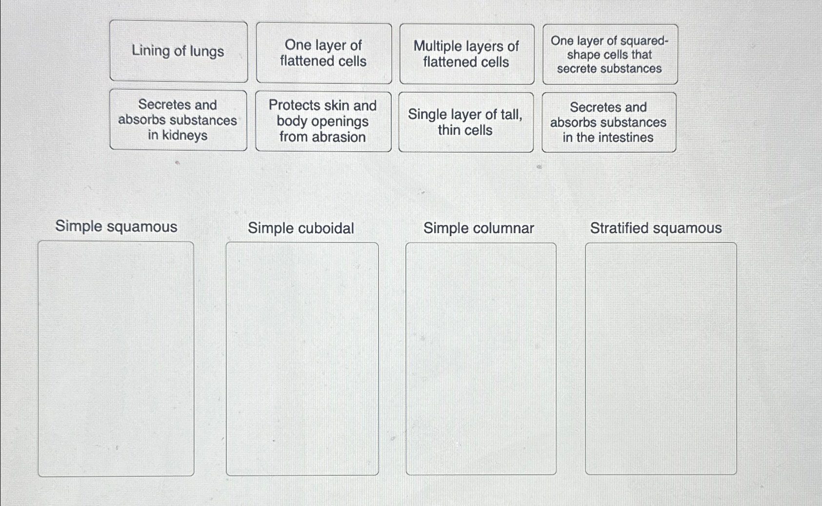 Solved classify each description into the correct type | Chegg.com Solved classify each description into the correct type | Chegg.com