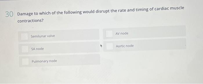Solved Damage to which of the following would disrupt the | Chegg.com