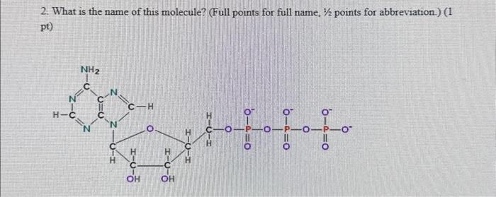 Solved 2. What is the name of this molecule? (Full points | Chegg.com