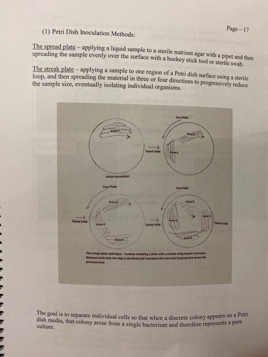 LAB 4 UBIQUITY OF MICROORGANISMS Lab - 4A Laboratory | Chegg.com