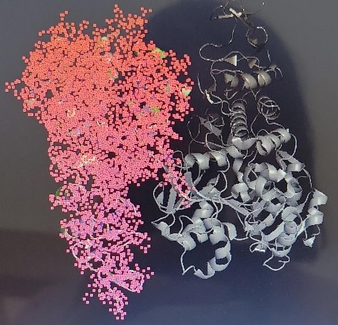 Solved Hello! please for each protein-picture answer: 1. How | Chegg.com