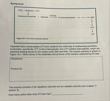 Solved BackgroundAspartate trans-carbamoylase (ATCase) | Chegg.com