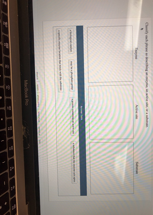 Solved Classify each phrase as describing an enzyme, an | Chegg.com