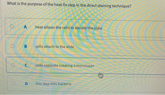 Solved What is the purpose of the heat-fix step in the | Chegg.com