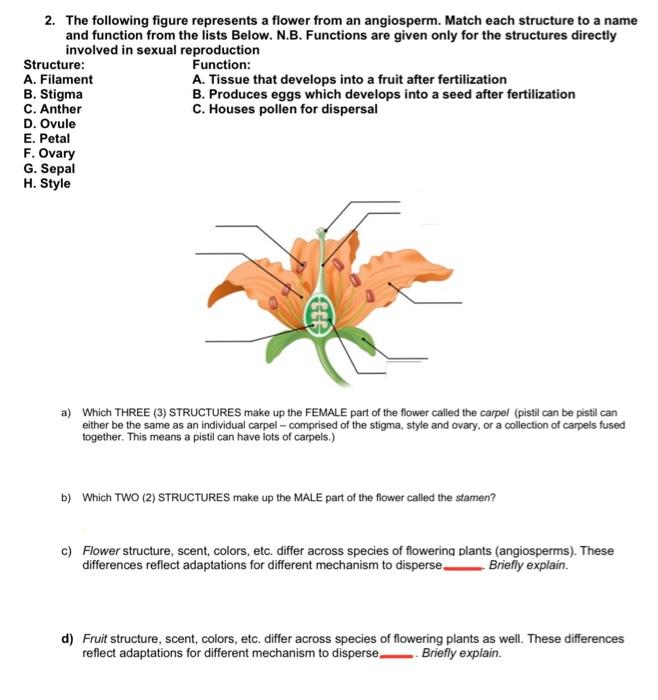 Flower Structure And Reproduction Worksheet Answers Coloring | Best ...