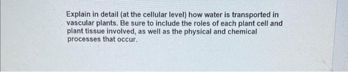 Solved Explain in detail (at the cellular level) how water | Chegg.com