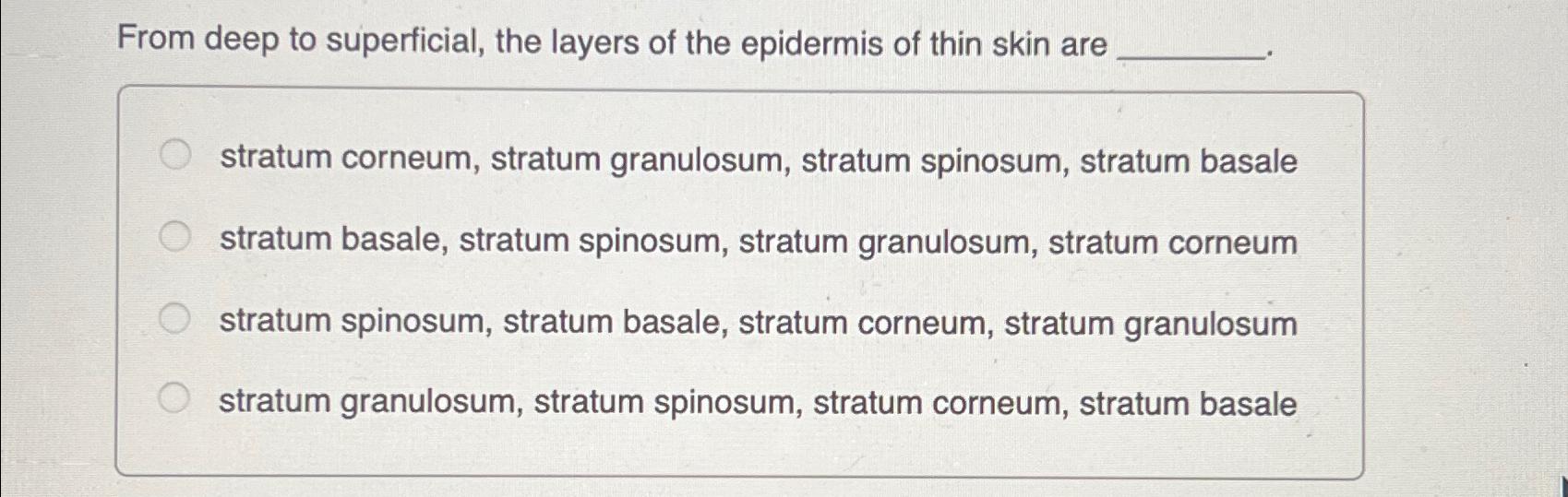 Solved From deep to superficial, the layers of the epidermis | Chegg.com