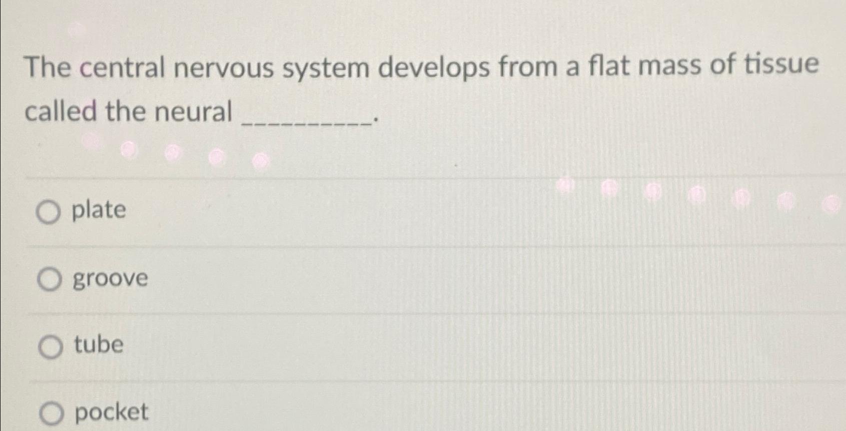 Solved The central nervous system develops from a flat mass | Chegg.com