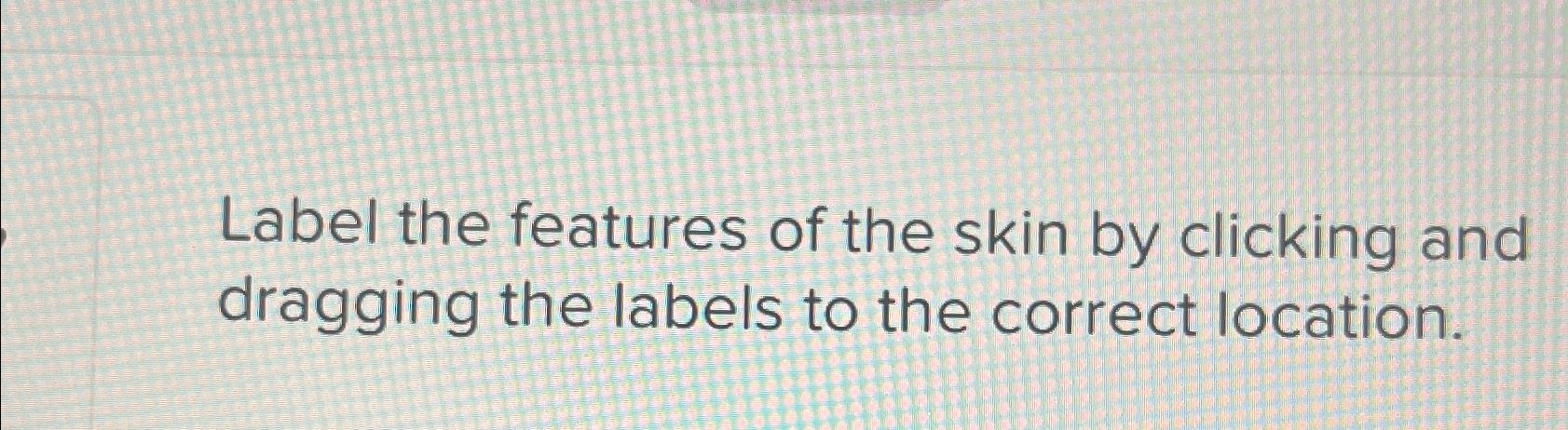 Solved Label the features of the skin by clicking and | Chegg.com