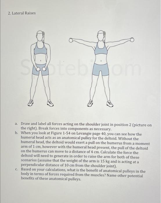 2. Lateral Raises a. Draw and label all forces acting | Chegg.com