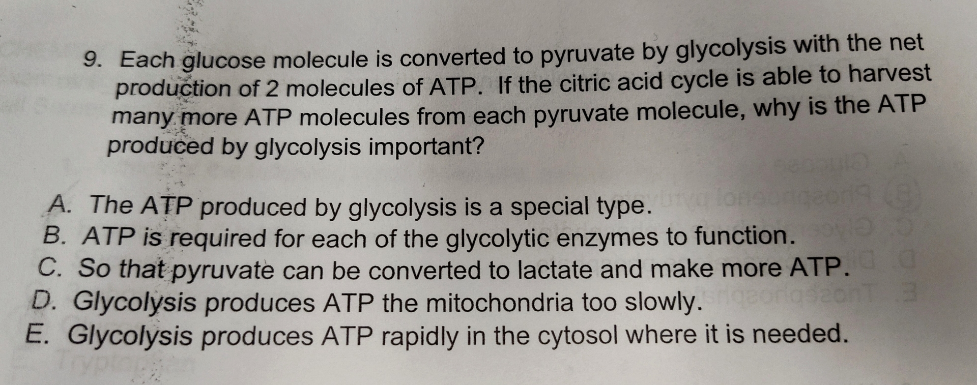 Solved Each glucose molecule is converted to pyruvate by | Chegg.com